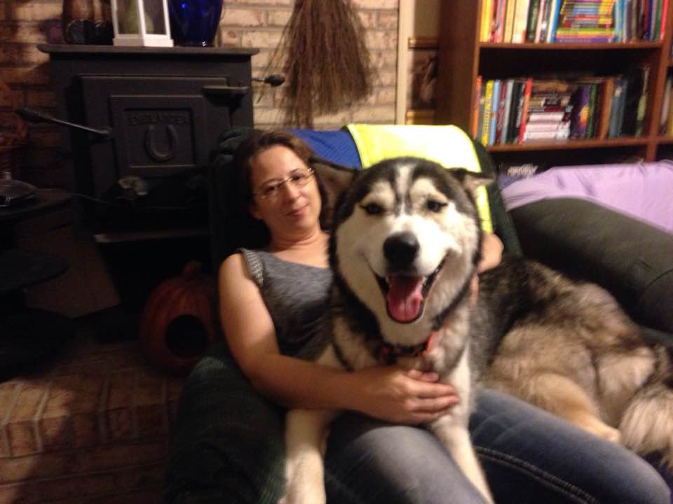 The perfect dog – Life with Siberian Huskies