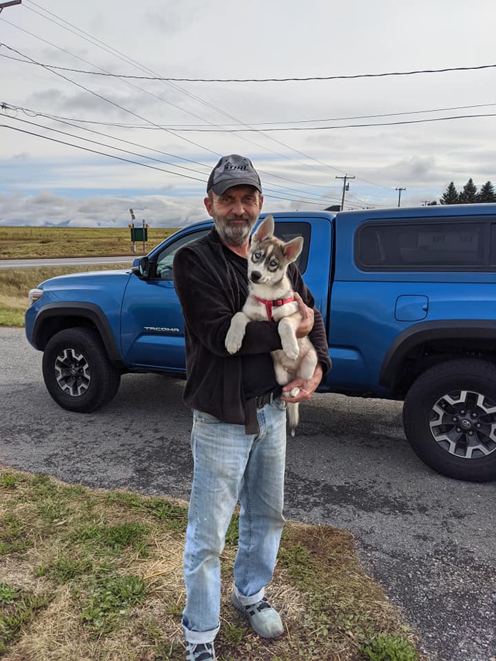 Ivan the big – Life with Siberian Huskies